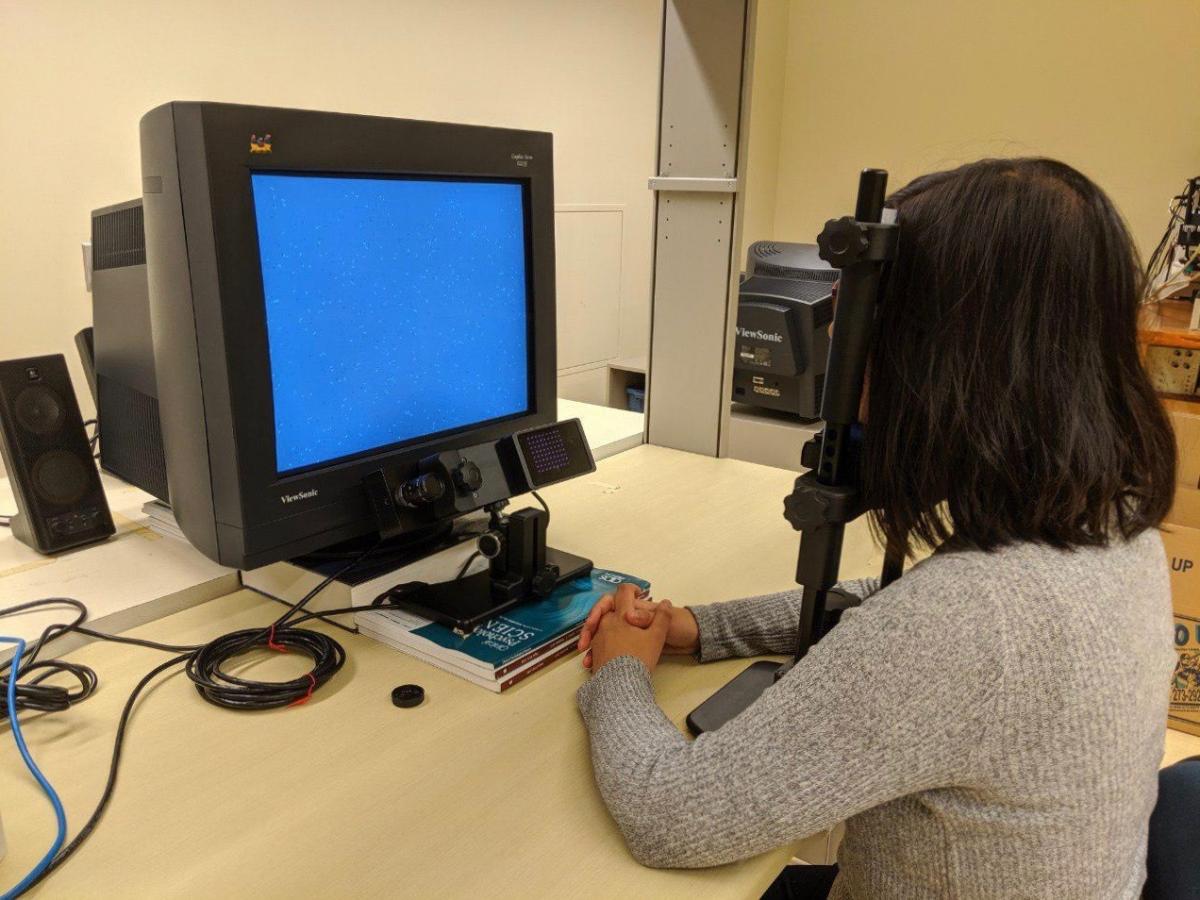 Look where you’re going: How our eyes track naturalistic visual motion ...